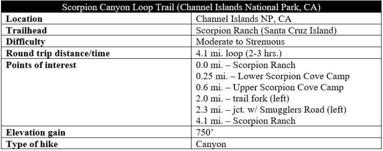 Scorpion Canyon Loop Trail (Channel Islands National Park, CA) – Live ...