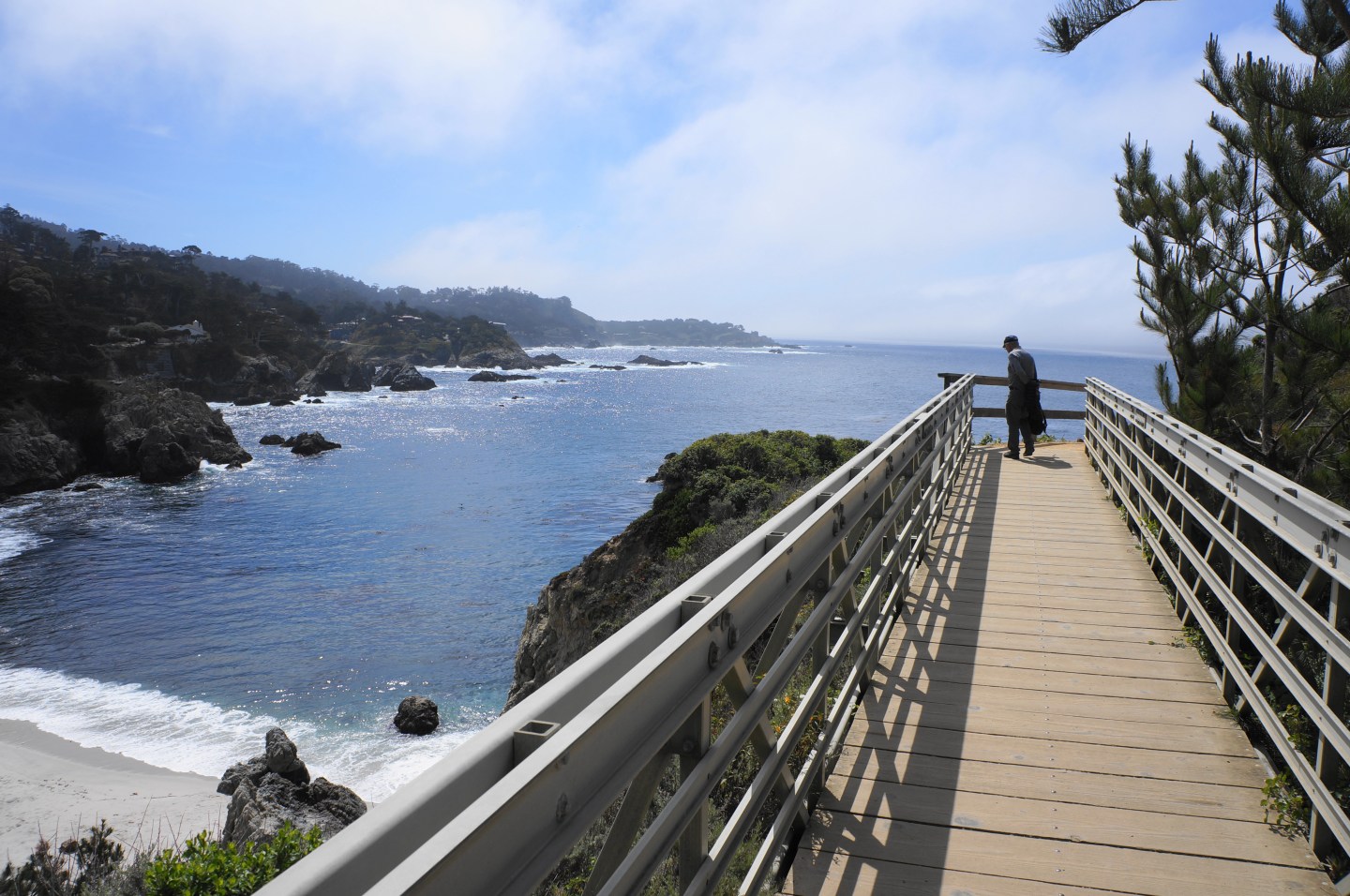 Point Lobos Loop (Point Lobos State Natural Reserve, CA) – Live and Let ...