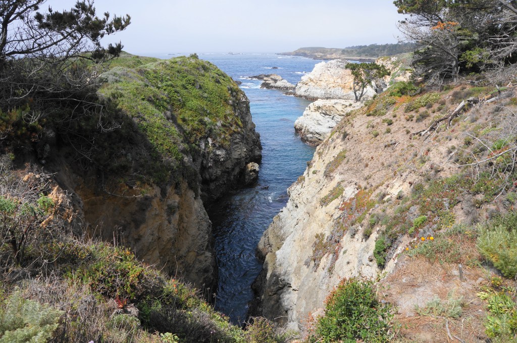 Point Lobos Loop (Point Lobos State Natural Reserve, CA) – Live and Let ...