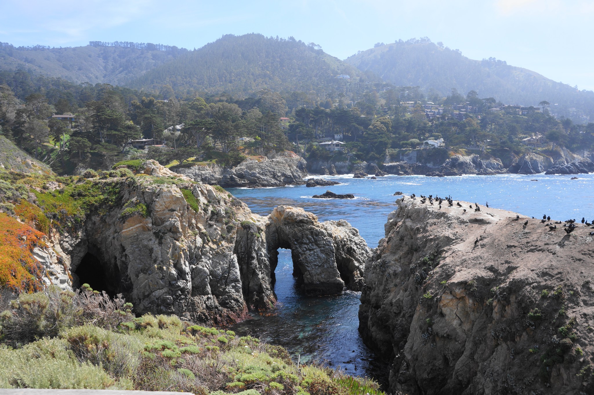 Point Lobos Loop (Point Lobos State Natural Reserve, CA) – Live and Let ...
