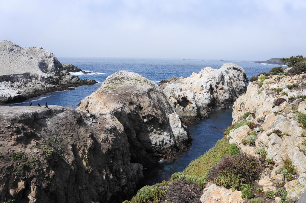 Point Lobos Loop (Point Lobos State Natural Reserve, CA) – Live and Let ...
