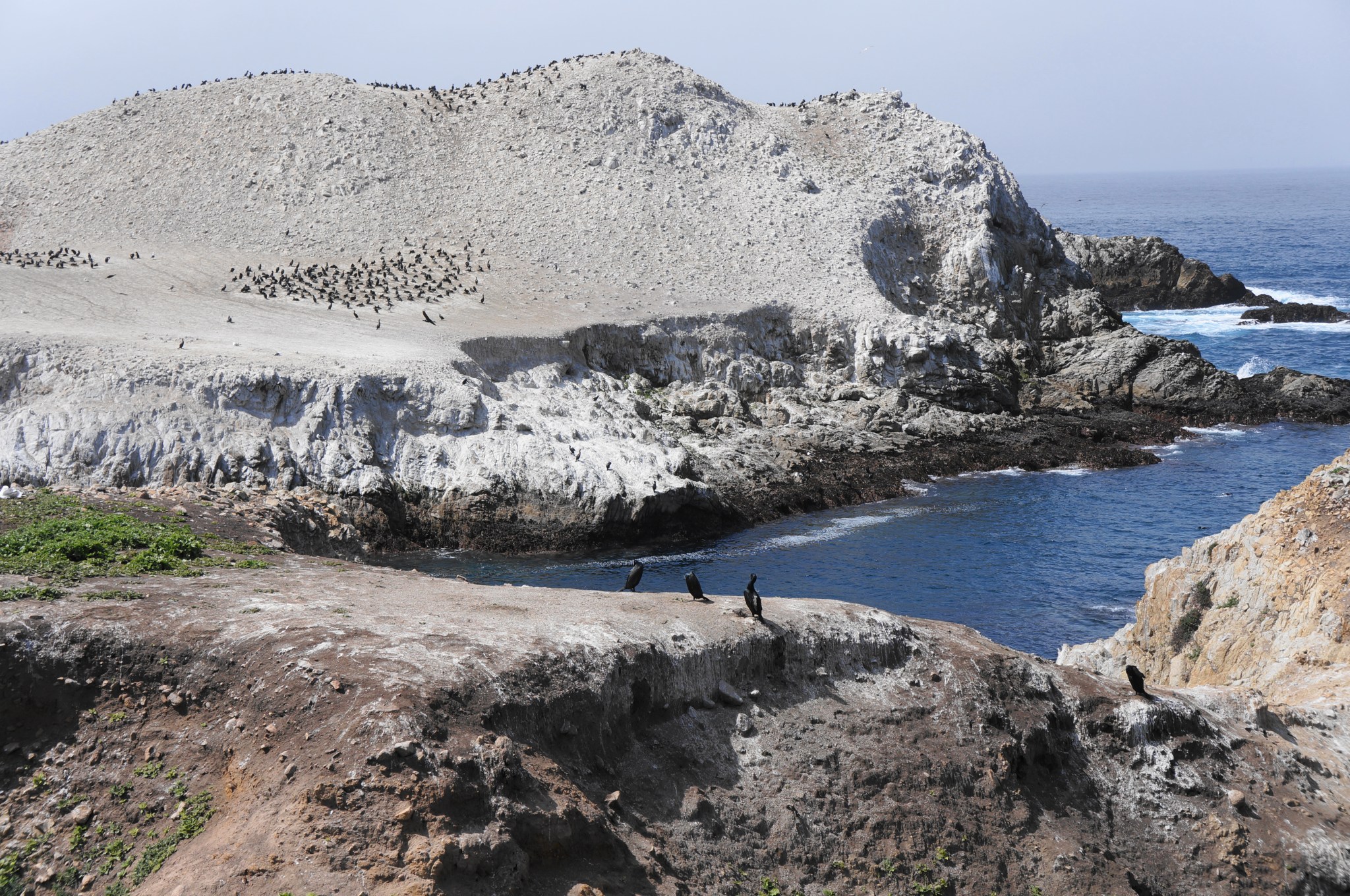 Point Lobos Loop (Point Lobos State Natural Reserve, CA) – Live and Let ...