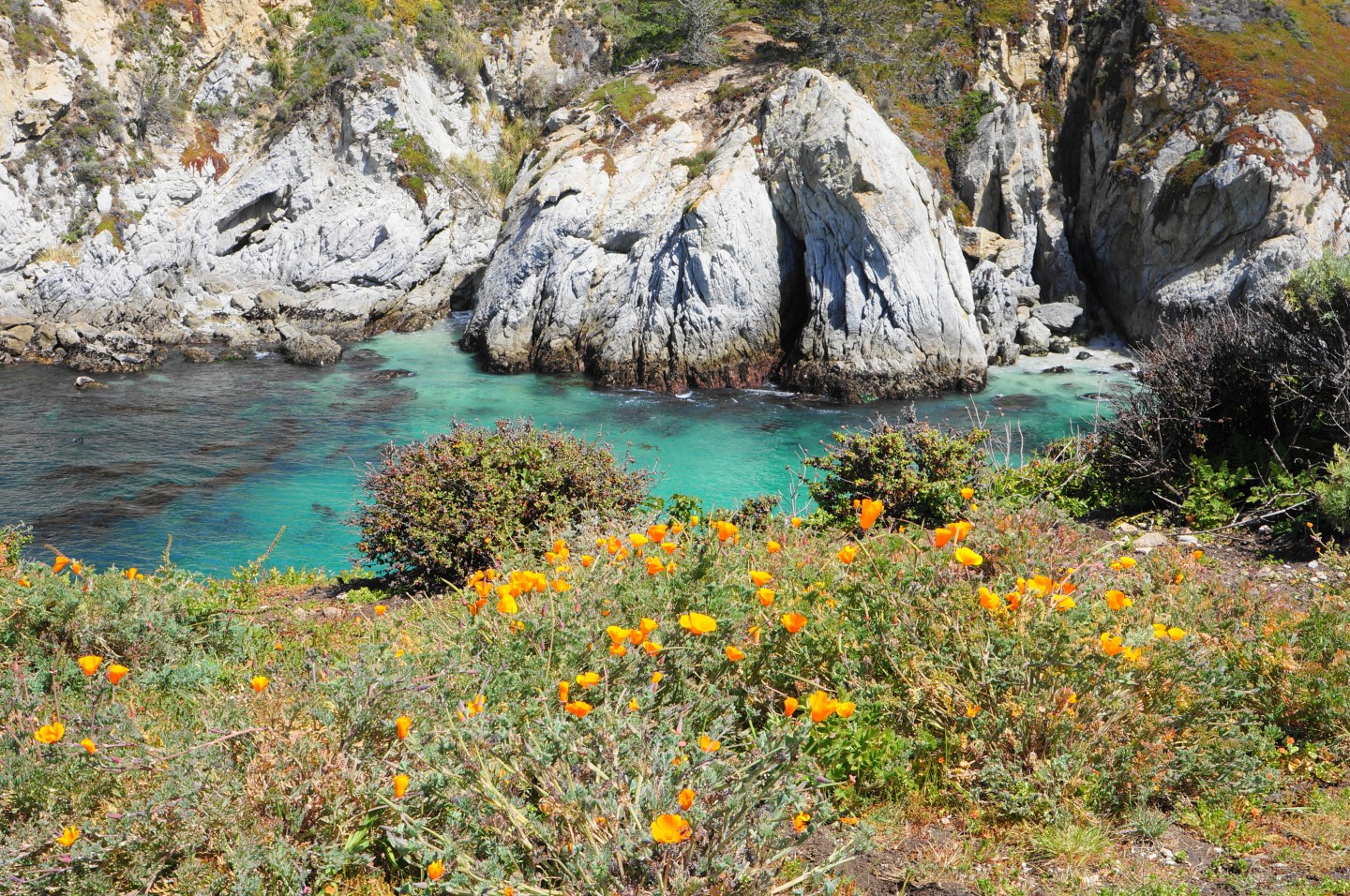 Point Lobos Loop (Point Lobos State Natural Reserve, CA) – Live and Let ...
