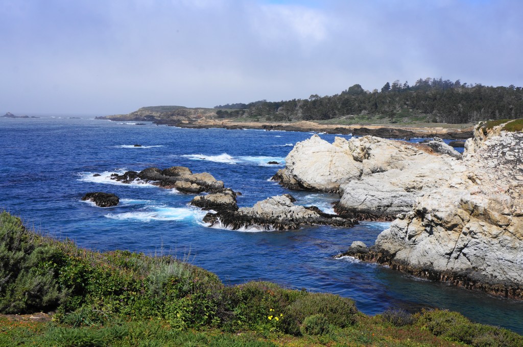 Point Lobos Loop (Point Lobos State Natural Reserve, CA) – Live and Let ...