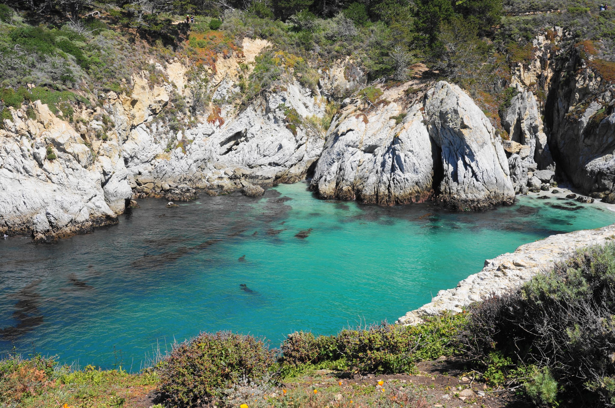 Point Lobos Loop (Point Lobos State Natural Reserve, CA) – Live and Let ...