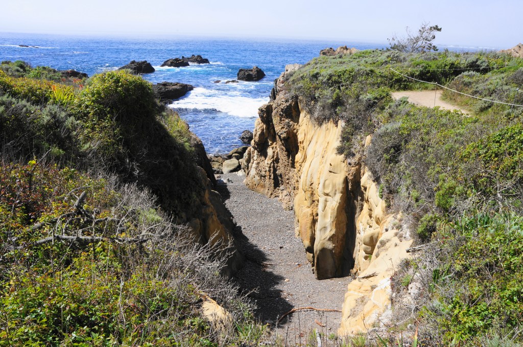 Point Lobos Loop (Point Lobos State Natural Reserve, CA) – Live and Let ...