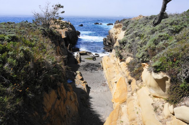 Point Lobos Loop (Point Lobos State Natural Reserve, CA) – Live and Let ...