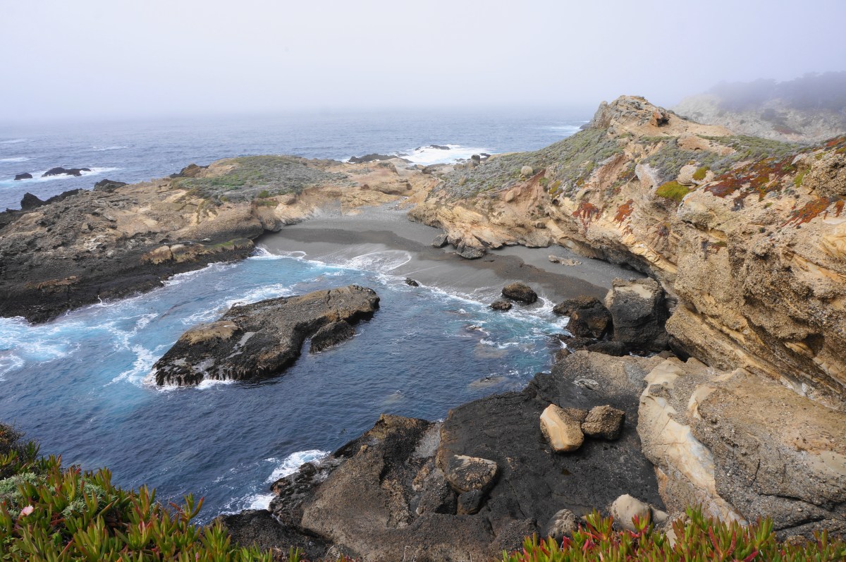 Point Lobos Loop (Point Lobos State Natural Reserve, CA) – Live and Let ...