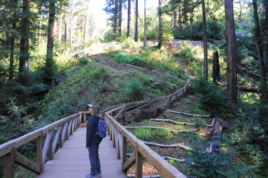 Pfeiffer Falls Trail (Pfeiffer Big Sur State Park, CA) – Live and Let Hike