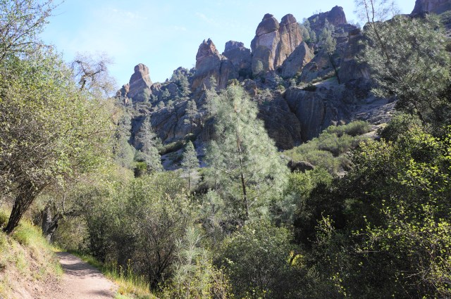 Juniper Canyon Trail to High Peaks Loop (Pinnacles National Park, CA ...