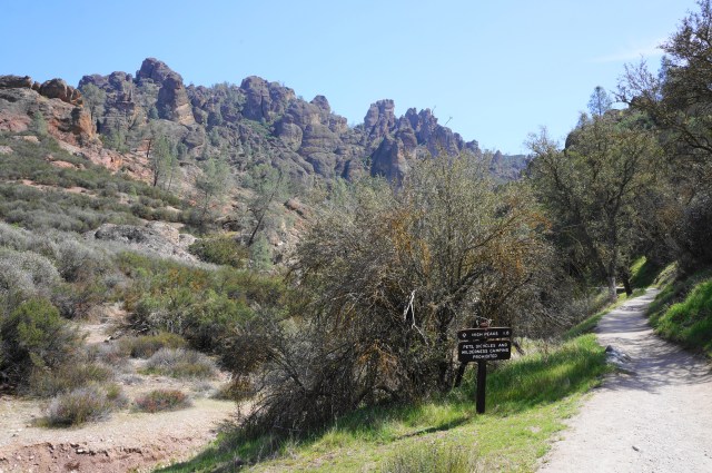 Juniper Canyon Trail to High Peaks Loop (Pinnacles National Park, CA ...