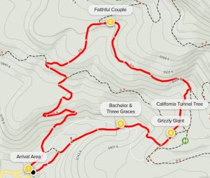 Lower Mariposa Grove Loop (Yosemite National Park, CA) – Live and Let Hike