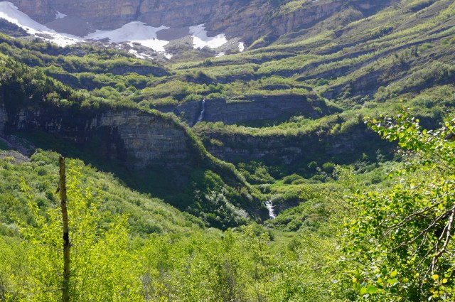 Timpanogos Falls (Mount Timpanogos Wilderness, UT) – Live and Let Hike