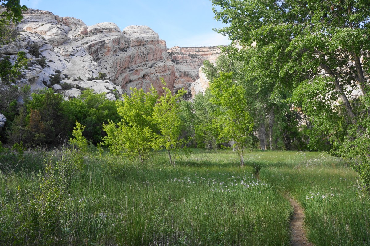 Hog Canyon Trail (Dinosaur National Monument, UT) – Live and Let Hike