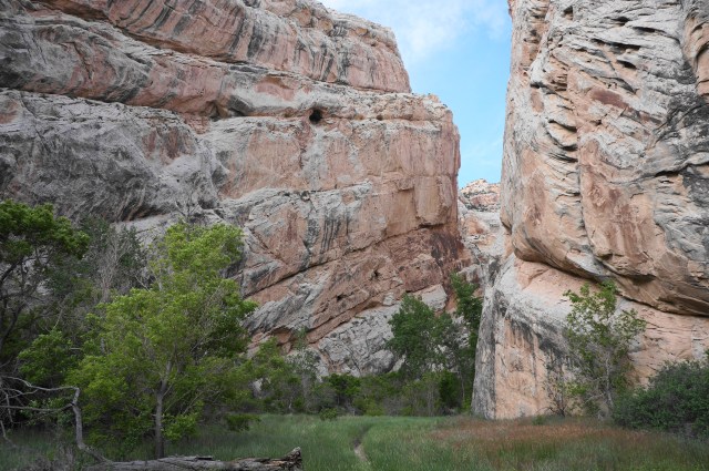 Hog Canyon Trail (Dinosaur National Monument, UT) – Live and Let Hike