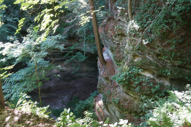 French, Wildcat, & LaSalle Canyons Loop (Starved Rock State Park, IL ...
