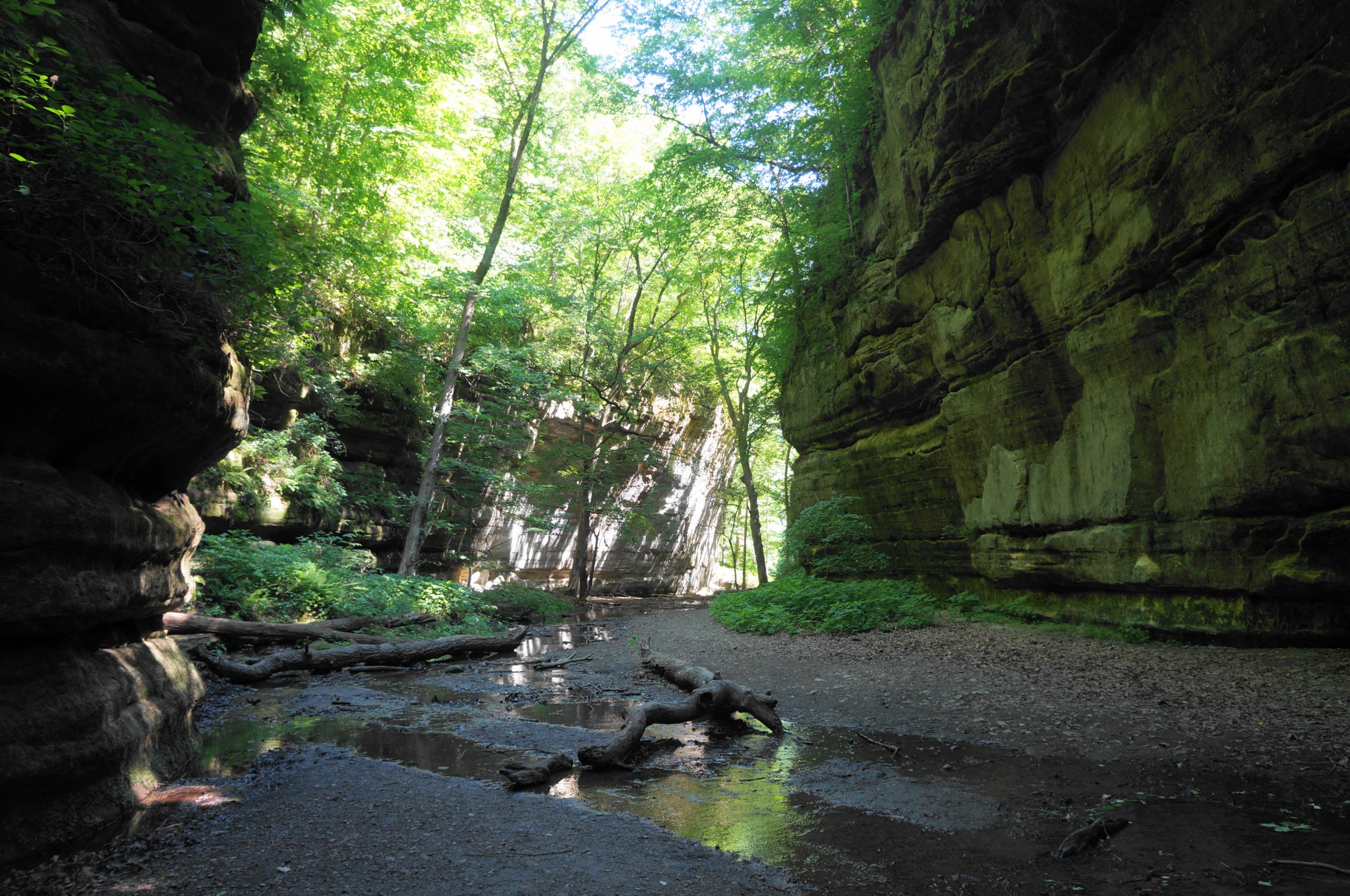 Ottawa, Kaskaskia, & Illinois Canyons (Starved Rock State Park, IL ...