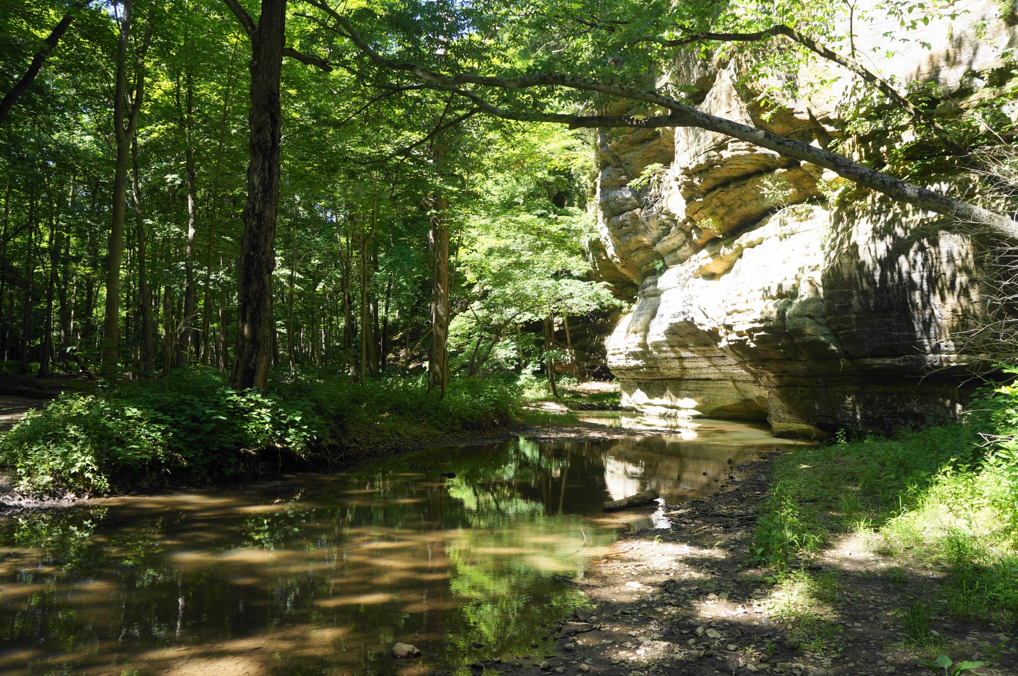 Ottawa, Kaskaskia, & Illinois Canyons (Starved Rock State Park, IL ...