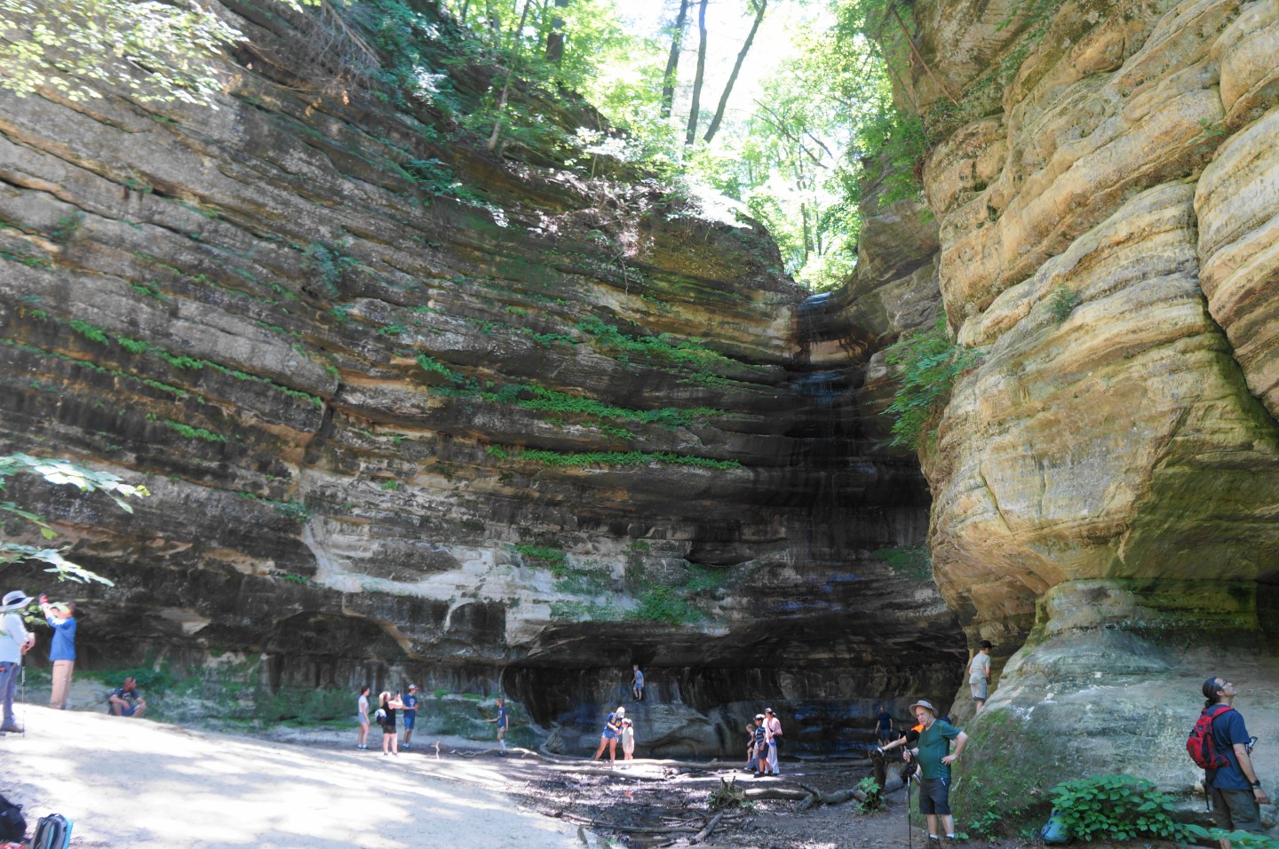 St. Louis Canyon and Aurora Canyon (Starved Rock State Park, IL) – Live ...