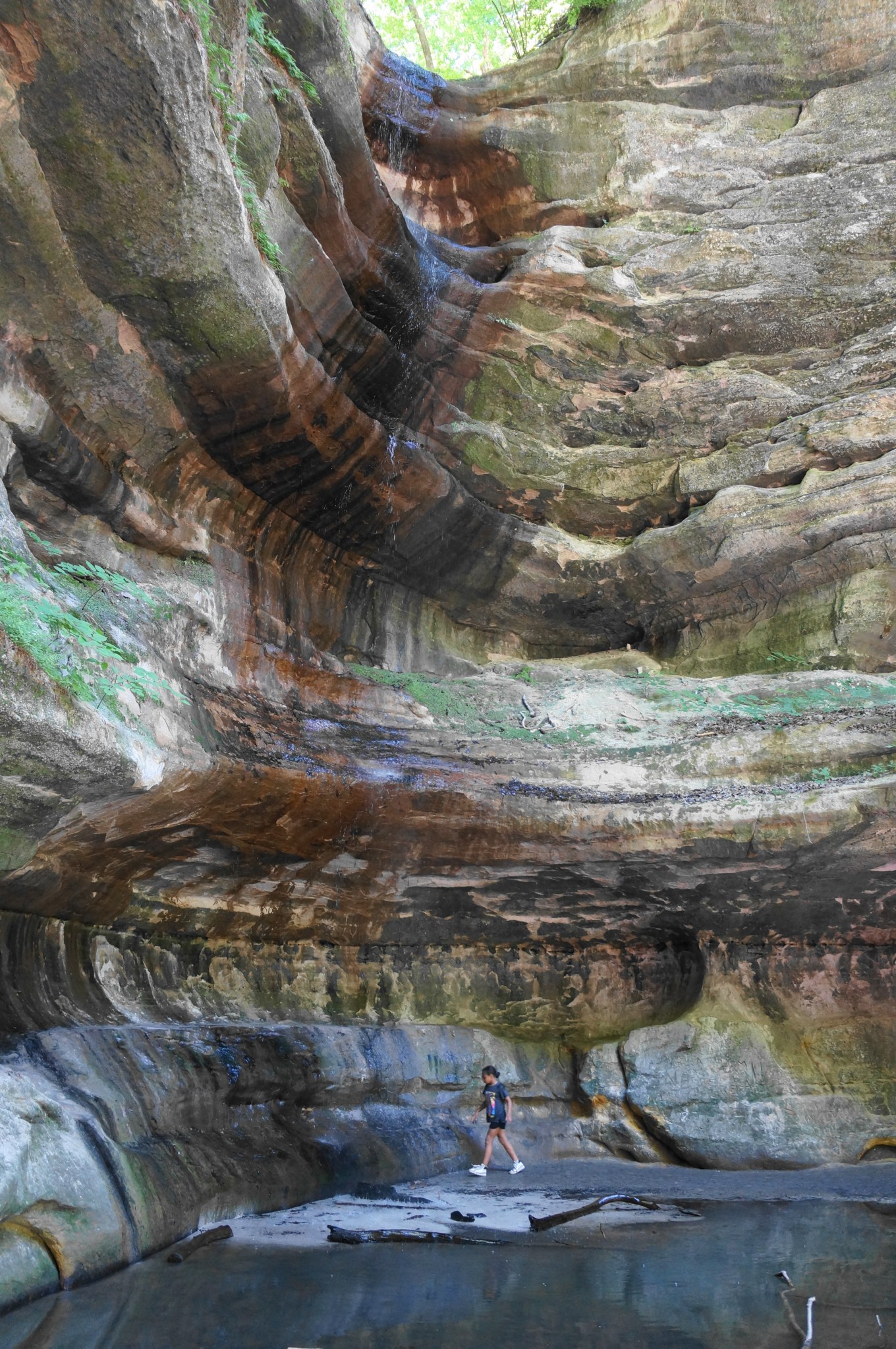St. Louis Canyon and Aurora Canyon (Starved Rock State Park, IL) – Live ...