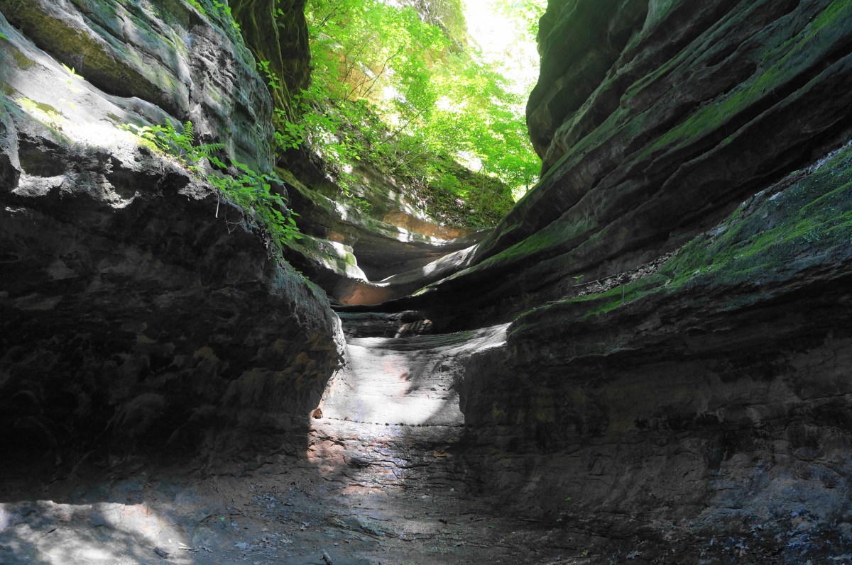St. Louis Canyon and Aurora Canyon (Starved Rock State Park, IL) – Live ...