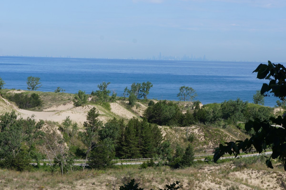 Dune Succession Trail (Indiana Dunes National Park, IN) – Live and Let Hike