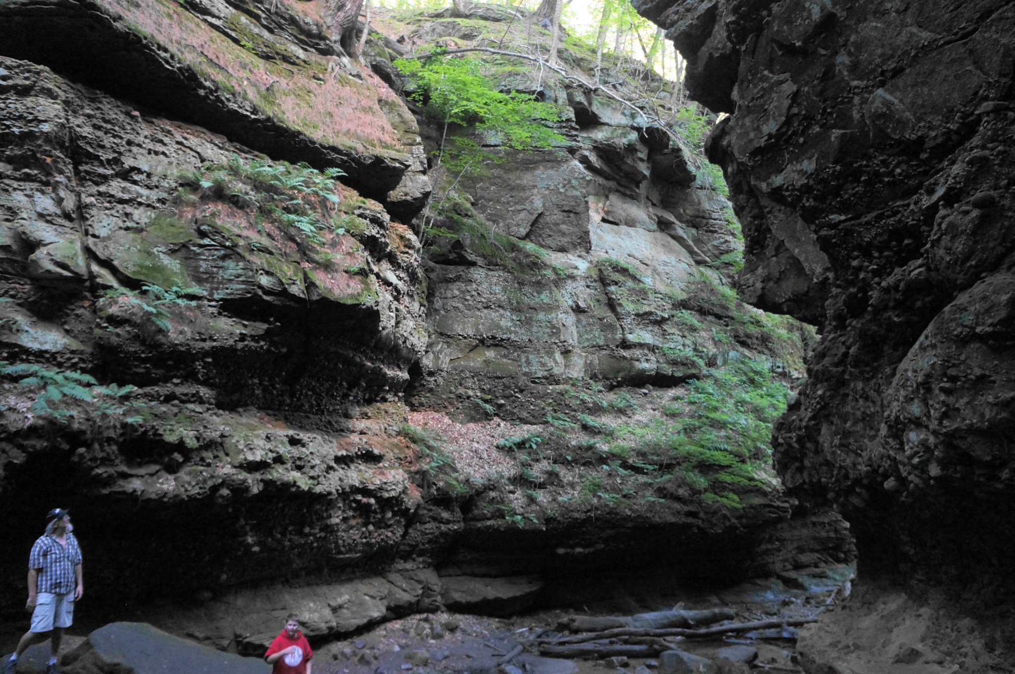 Parfrey’s Glen (Parfrey’s Glen State Natural Area, WI) – Live and Let Hike