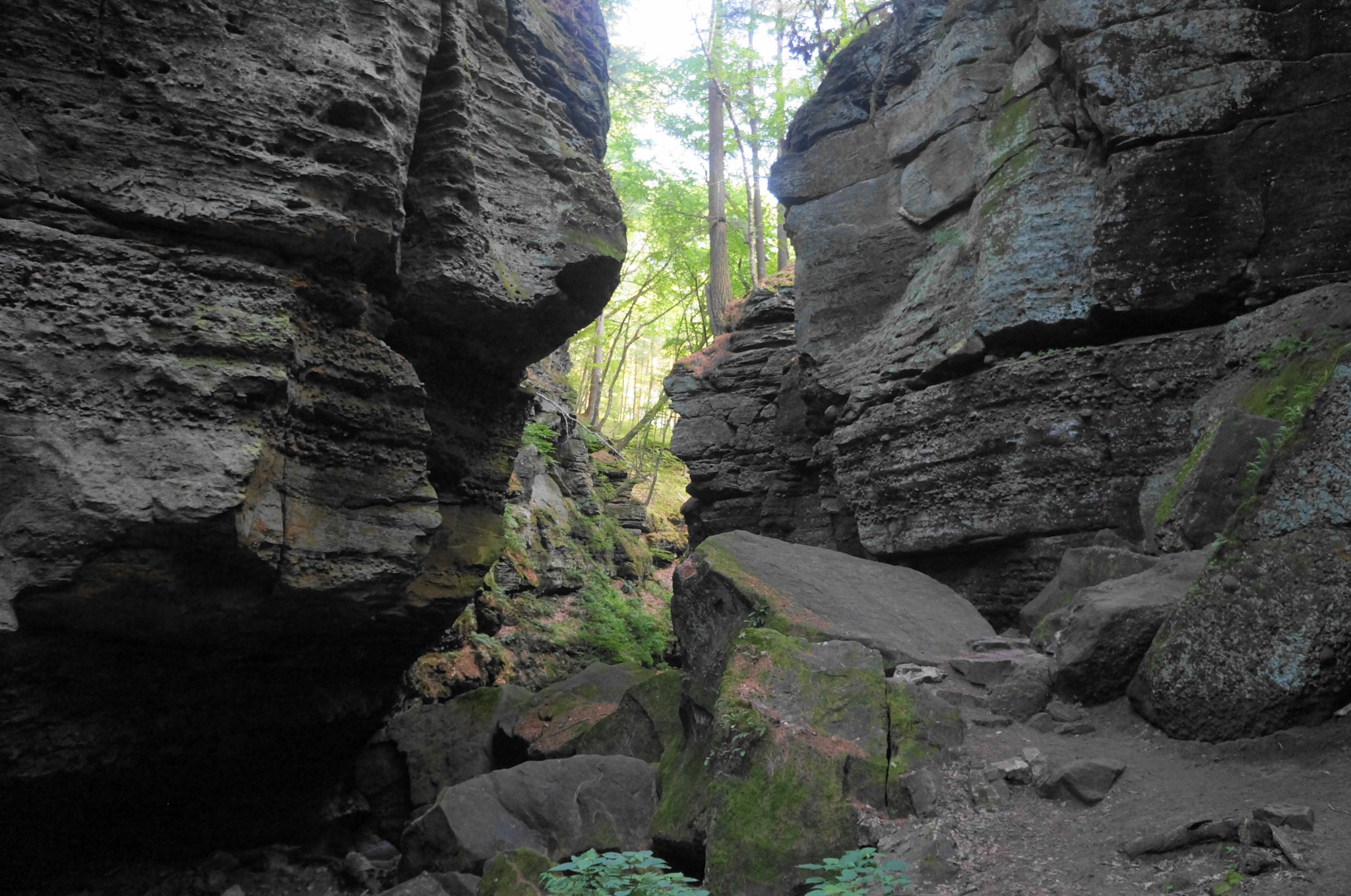 Parfrey’s Glen (Parfrey’s Glen State Natural Area, WI) – Live and Let Hike