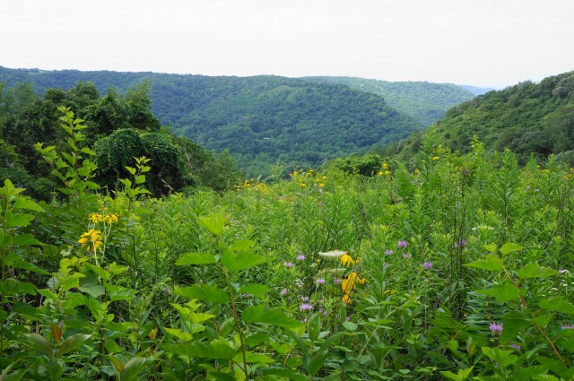 King’s Bluff Trail (Great River Bluffs State Park, MN) – Live and Let Hike