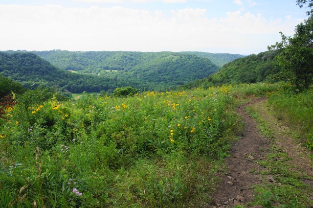 King’s Bluff Trail (Great River Bluffs State Park, MN) – Live and Let Hike