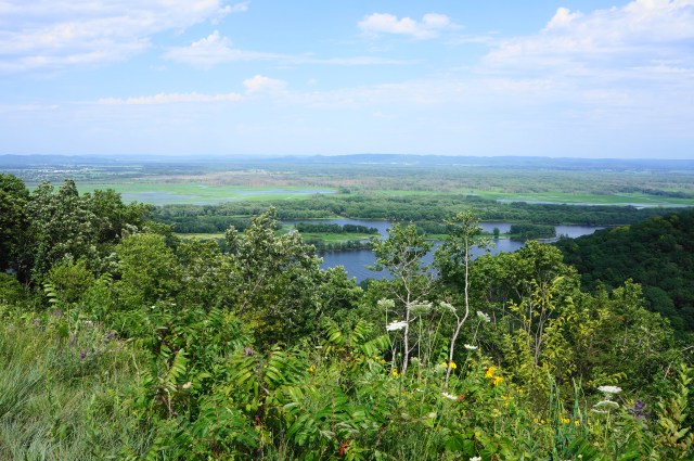 King’s Bluff Trail (Great River Bluffs State Park, MN) – Live and Let Hike