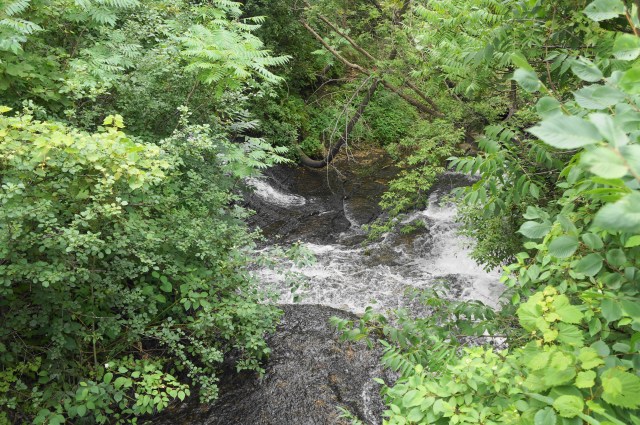 Cascade Falls & Falls Bluff Trail Loop (City of Osceola, WI) – Live and ...