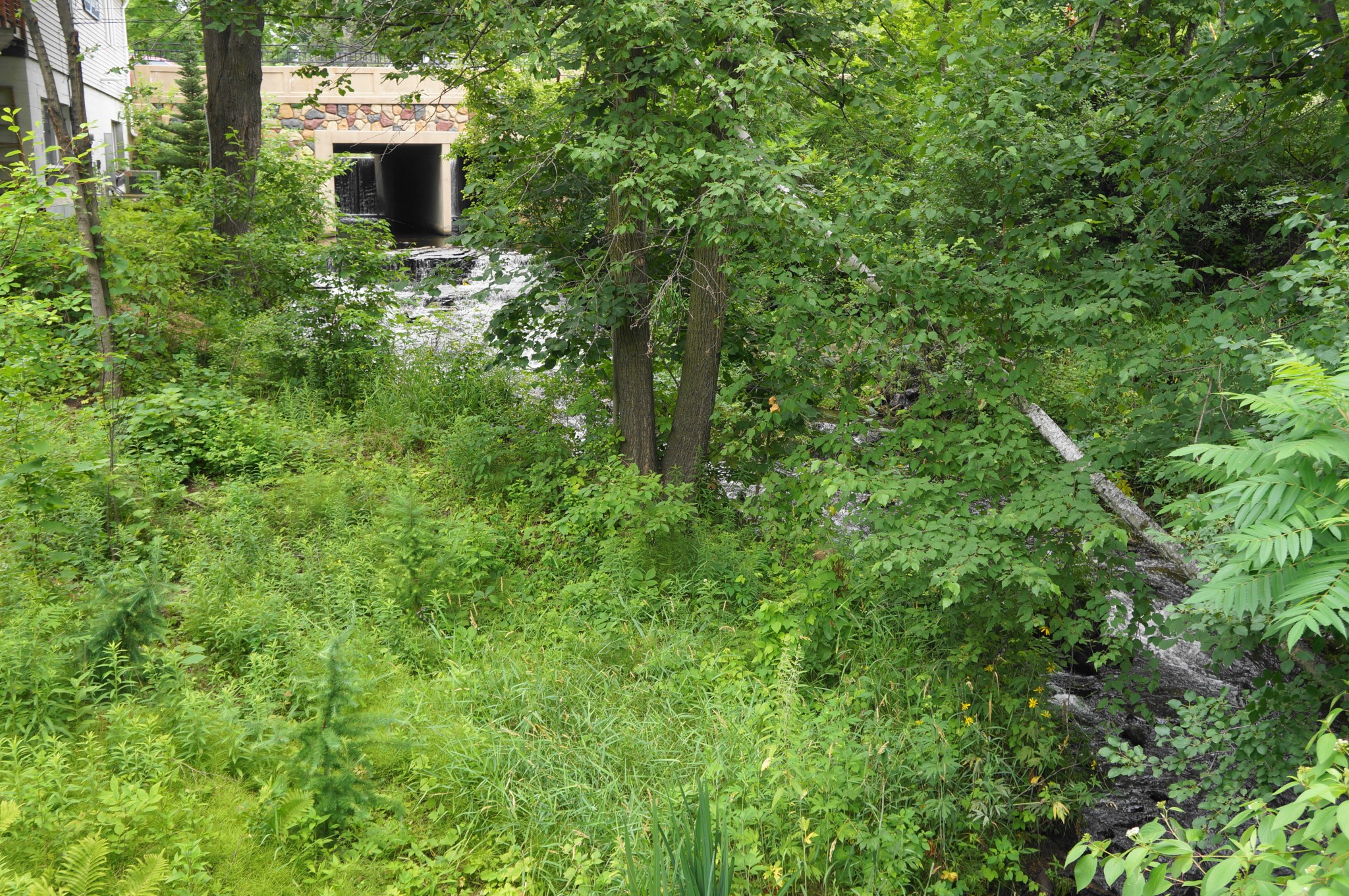 Cascade Falls & Falls Bluff Trail Loop (City of Osceola, WI) – Live and ...