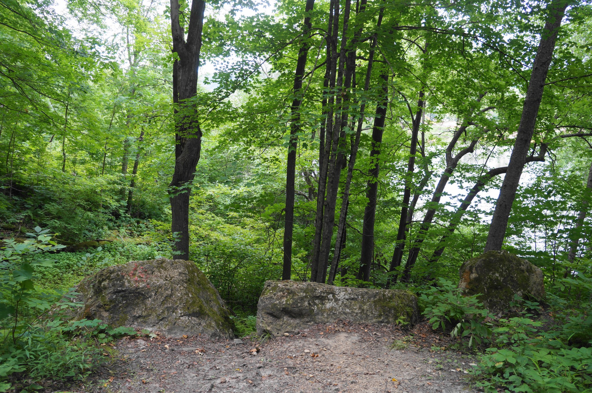 Cascade Falls & Falls Bluff Trail Loop (City of Osceola, WI) – Live and ...