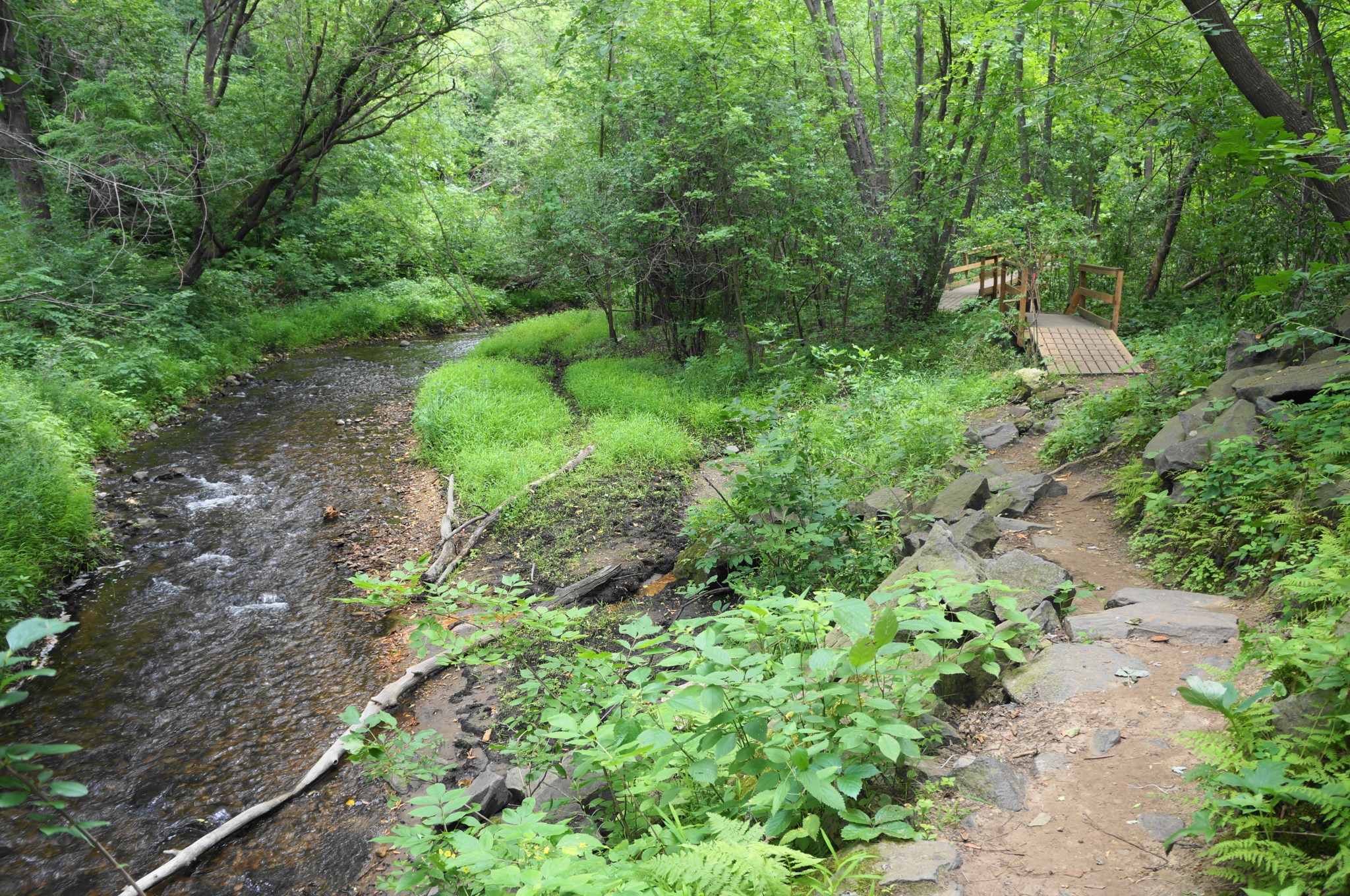 Cascade Falls & Falls Bluff Trail Loop (City of Osceola, WI) – Live and ...
