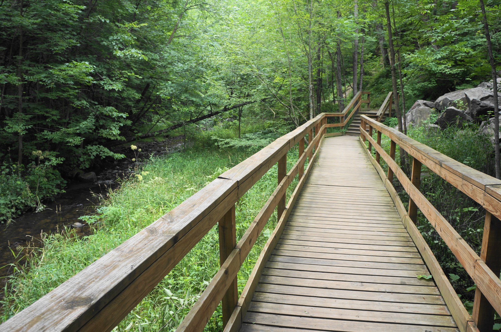 Cascade Falls & Falls Bluff Trail Loop (City of Osceola, WI) – Live and ...