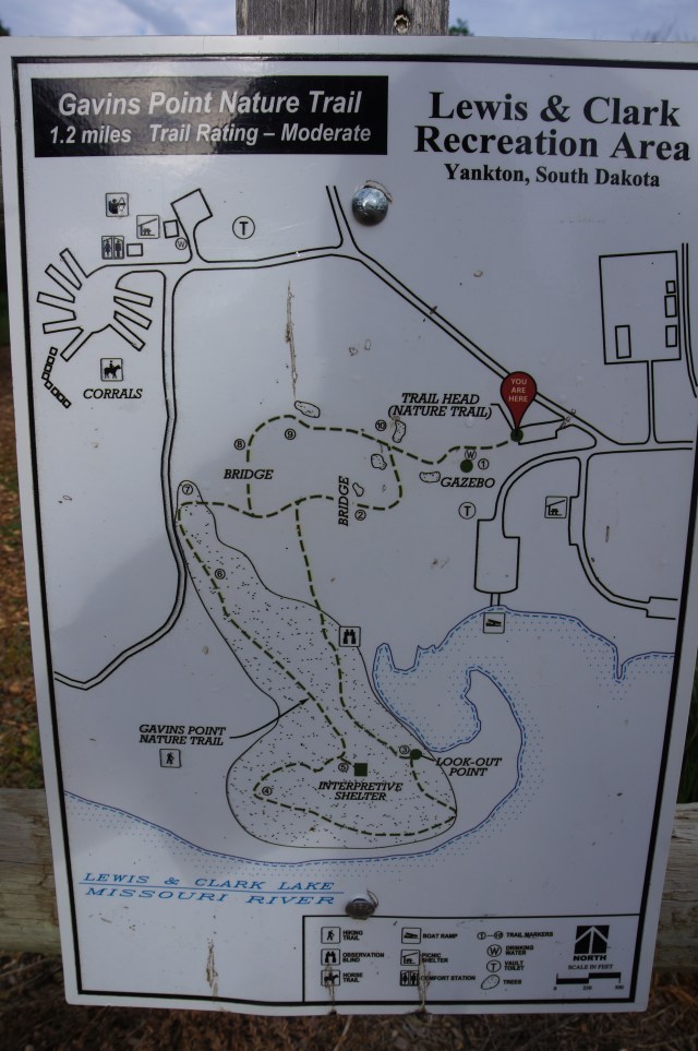 Gavin’s Point Nature Trail (Lewis & Clark Recreation Area, SD) – Live ...