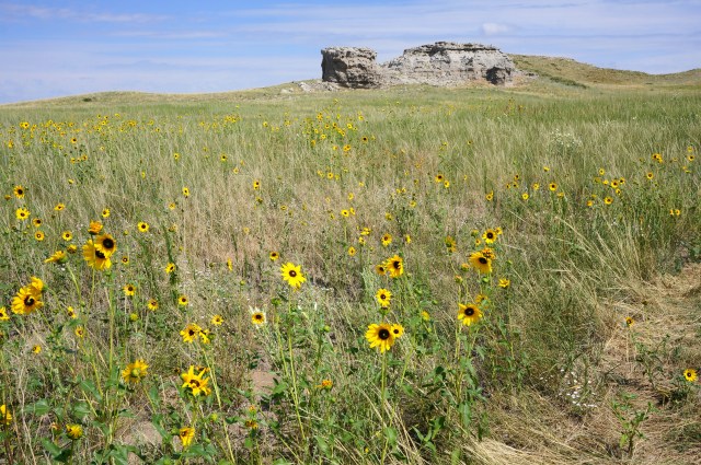 Daemonelix Trail (Agate Fossil Beds National Monument, NE) – Live and ...