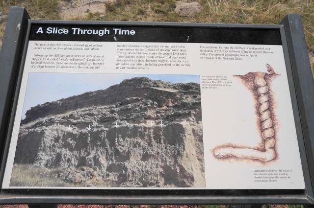 Daemonelix Trail (Agate Fossil Beds National Monument, NE) – Live and ...