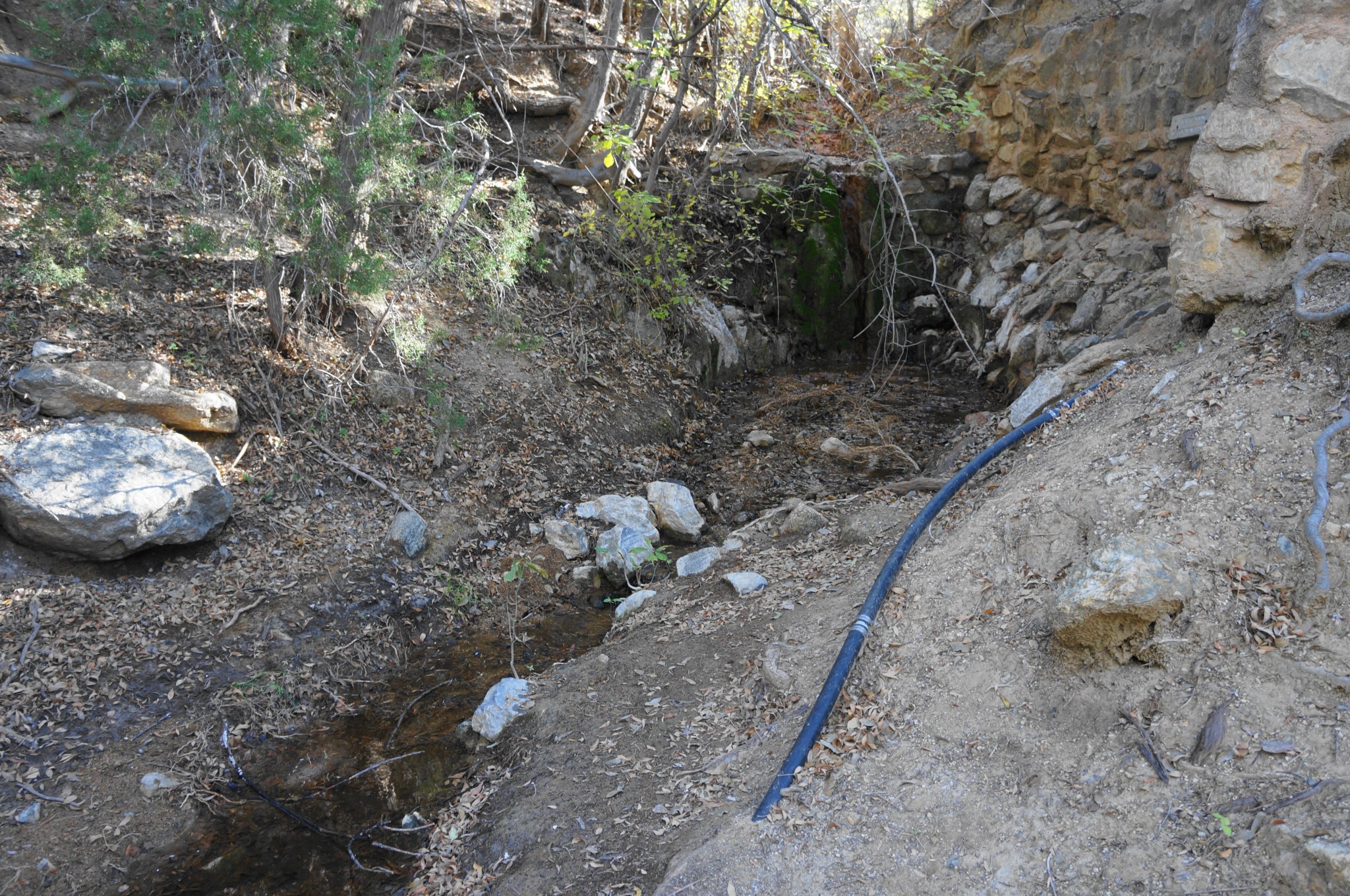 Fort Bowie Trail Loop (Fort Bowie National Historic Site, AZ) – Live ...