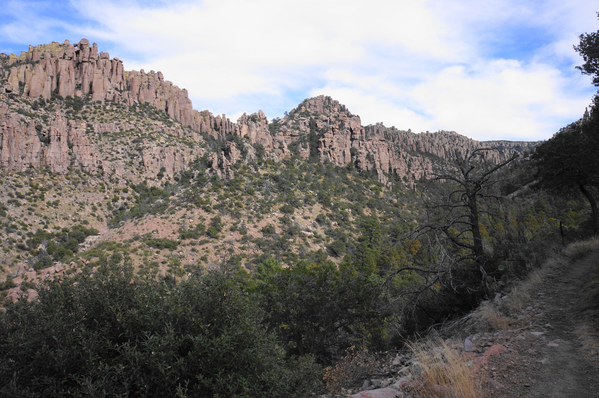 Chiricahua Big Loop (Chiricahua National Monument, AZ) – Live and Let Hike