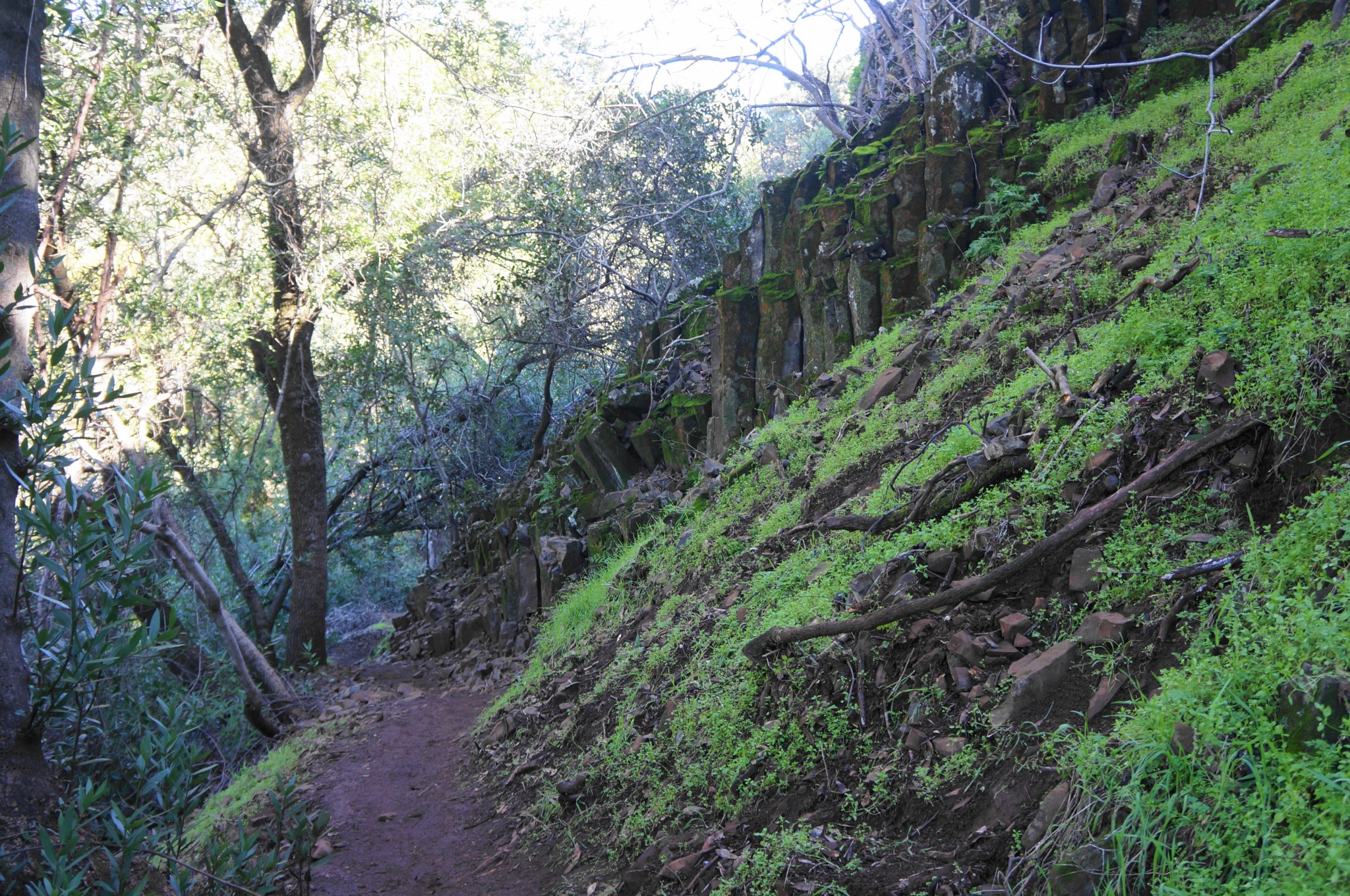 Phantom Falls Loop (North Table Mountain Ecological Reserve, CA) – Live ...