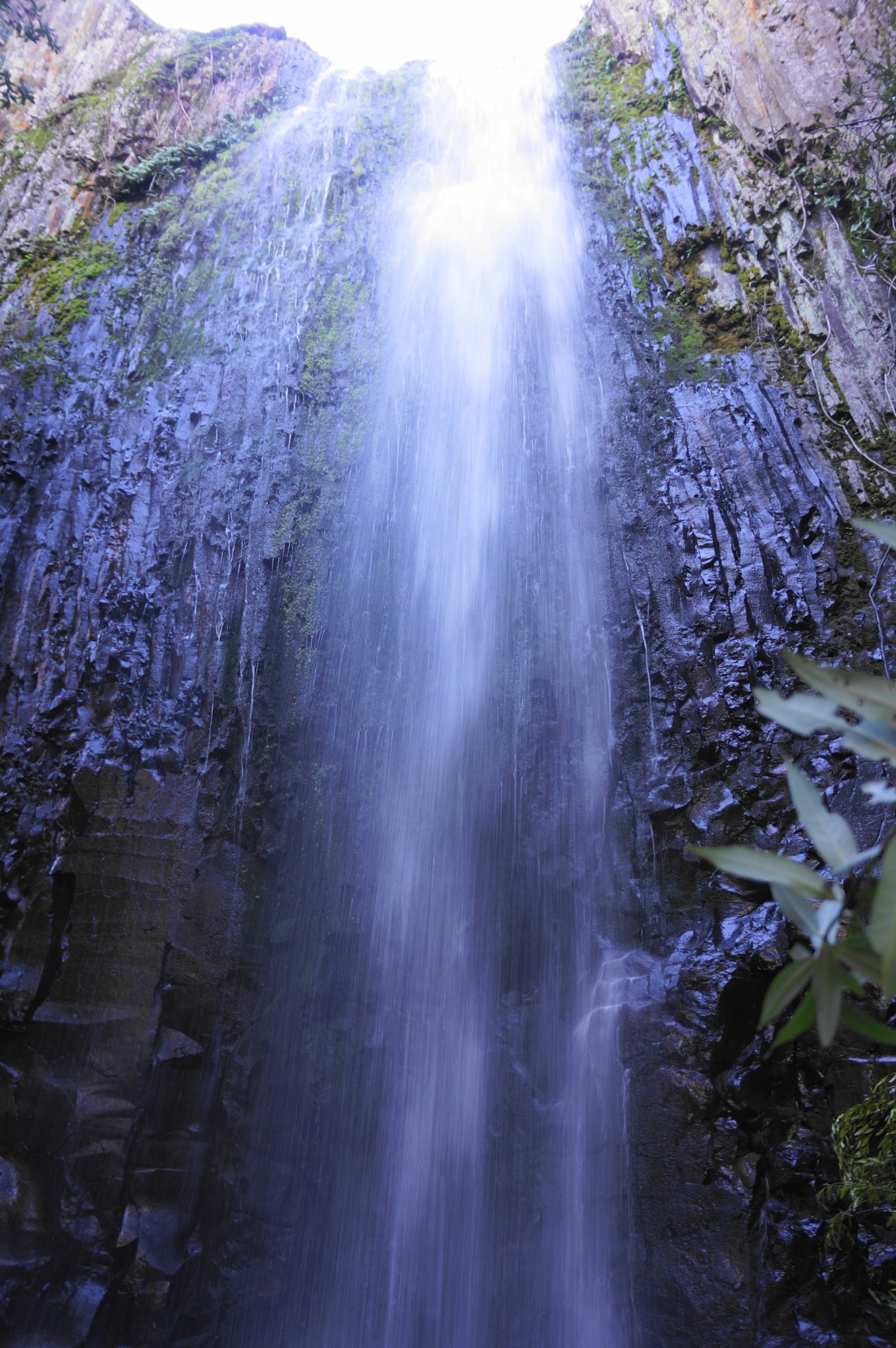 Phantom Falls Loop (North Table Mountain Ecological Reserve, CA) – Live ...