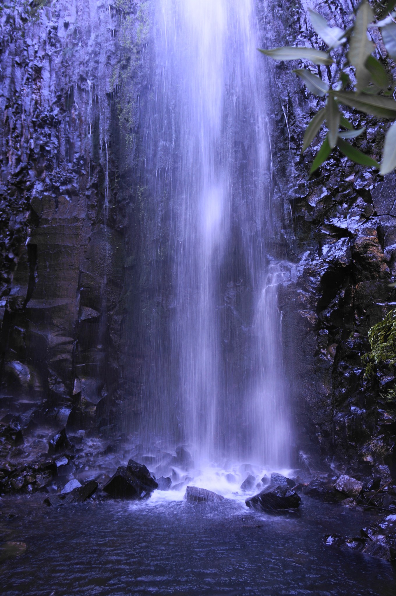 Phantom Falls Loop (North Table Mountain Ecological Reserve, CA) – Live ...