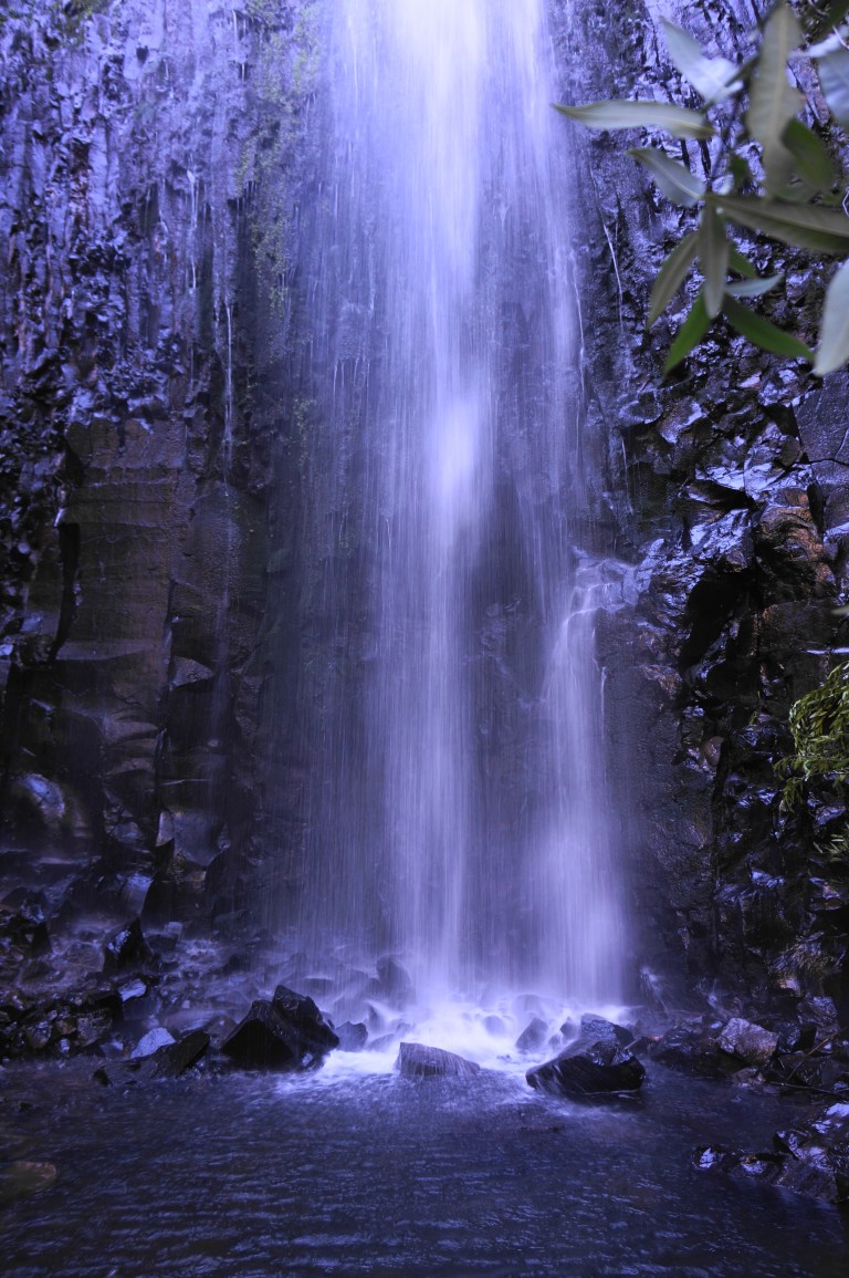 Phantom Falls Loop (North Table Mountain Ecological Reserve, CA) – Live ...