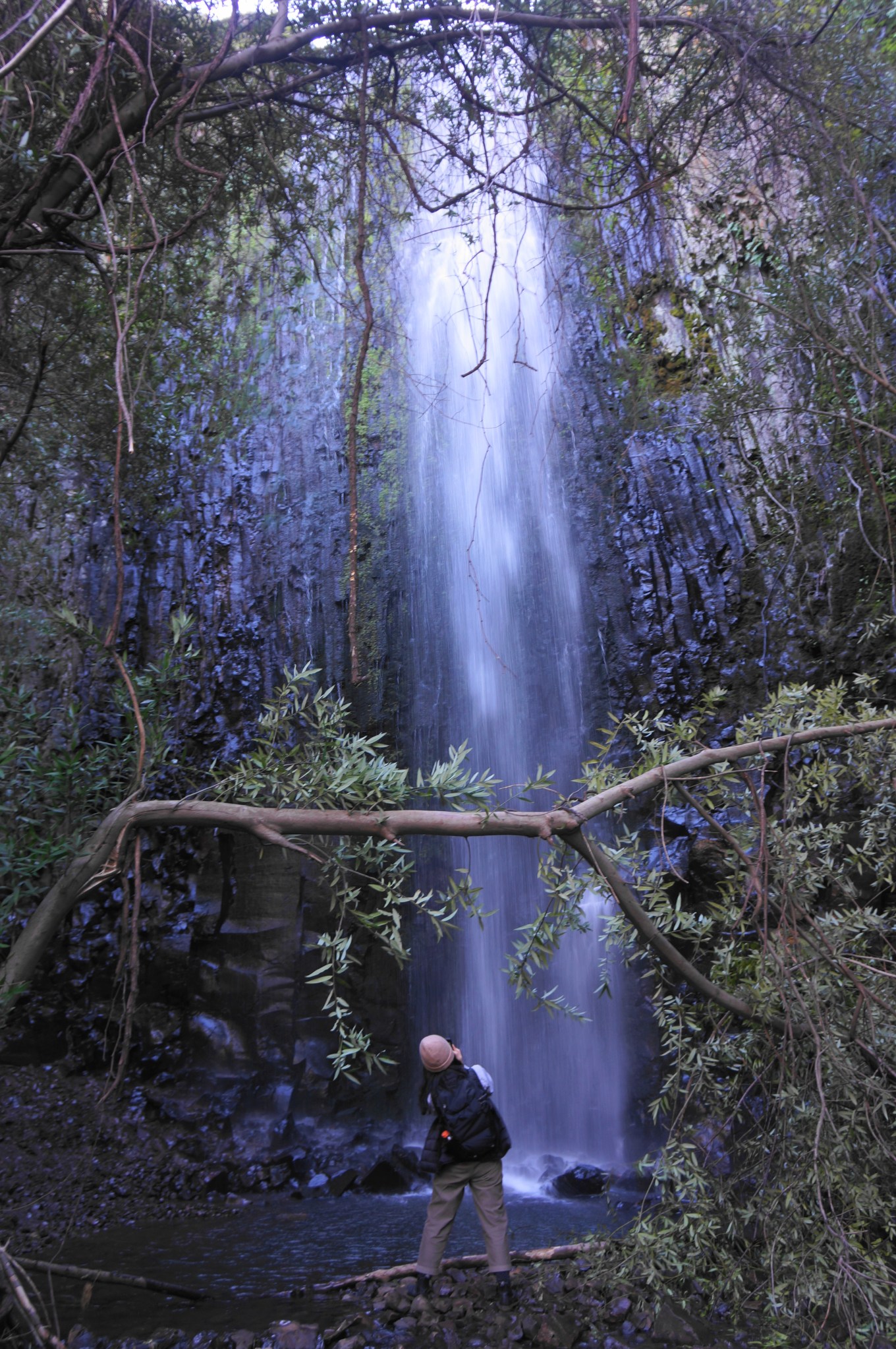 Phantom Falls Loop (North Table Mountain Ecological Reserve, CA) – Live ...