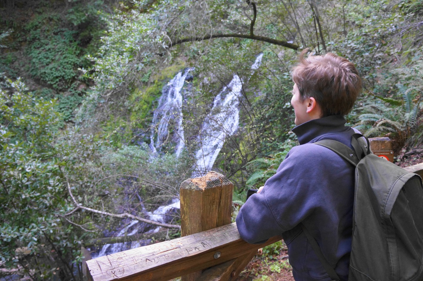 Cataract Falls Trail (Marin Municipal Water District, CA) – Live and ...