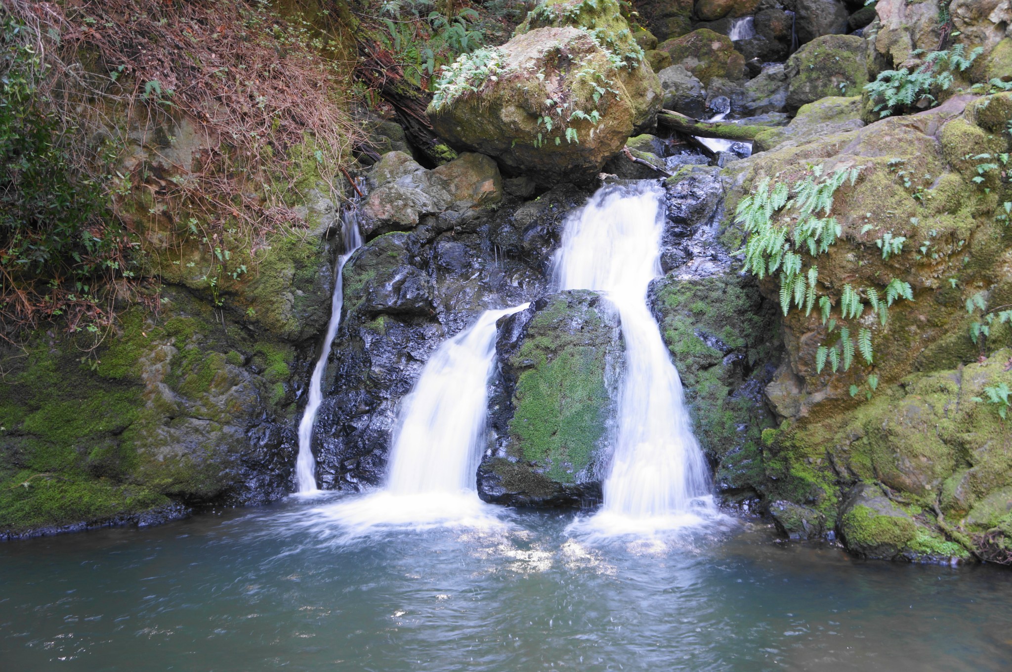 Cataract Falls Trail (Marin Municipal Water District, CA) – Live and ...