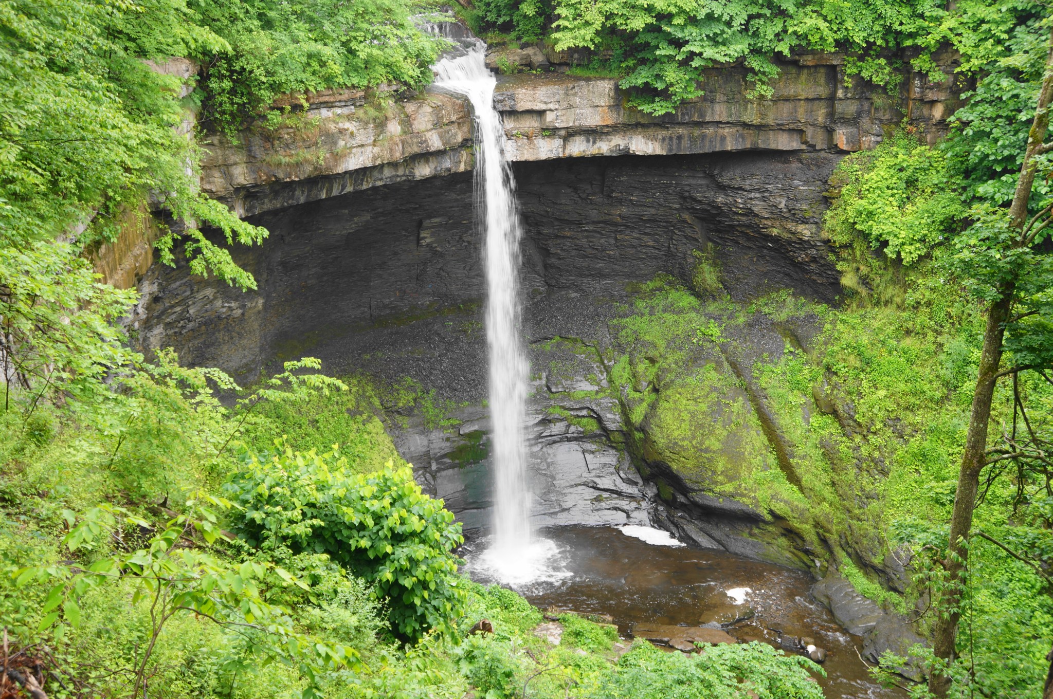 Carpenter Falls Trail (Carpenter Falls Unique Area, NY) – Live and Let Hike