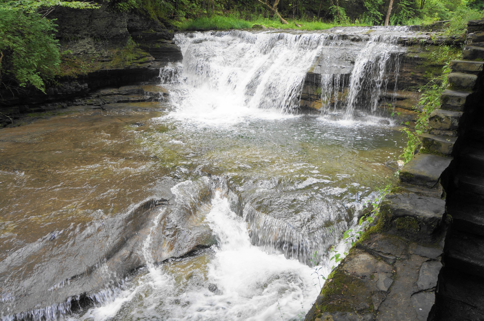 Gorge – Rim Trail Loop (Robert H. Treman State Park, NY) – Live and Let ...